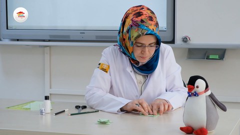 [Free] Origami Training