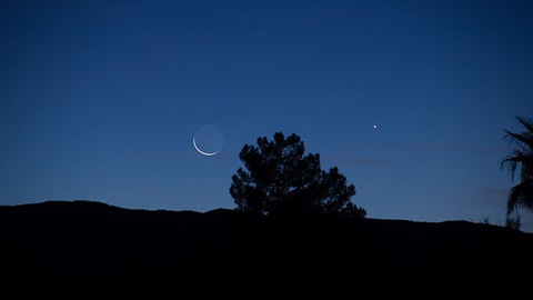 What’s Your Moon Sign? - Coupon Scorpion