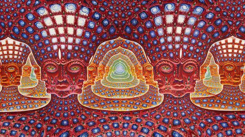 [Free] 1000 Lessons From The Psychedelic Flavors Of Consciousness