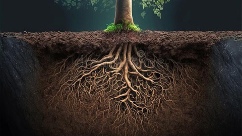 Basics to know before practising DSA [Java] - Coupon Scorpion