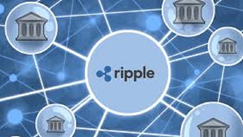 [Free] Ripple Development And Training Suit - Part 2 - Coupon Scorpion