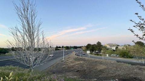 Introduction to Python for Environmental Data Analysis - Coupon Scorpion