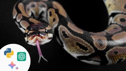 [Free] Learn Python Basics With Ai Tools Like Chatgpt & Google Bard